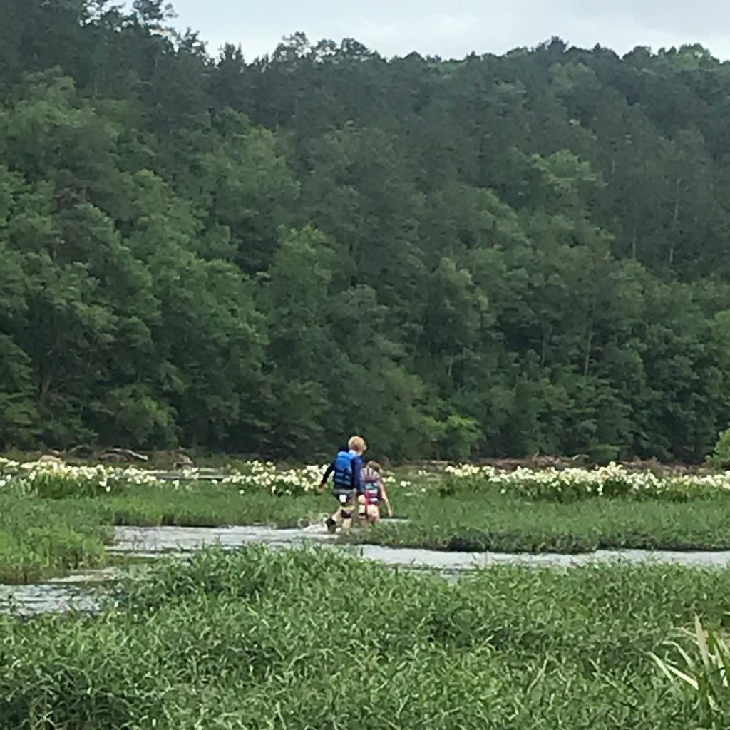 5 Things to Know: Cahaba River National Wildlife Preserve - Birmingham ...