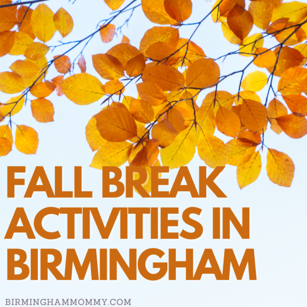 to-do Archives - Birmingham Mommy